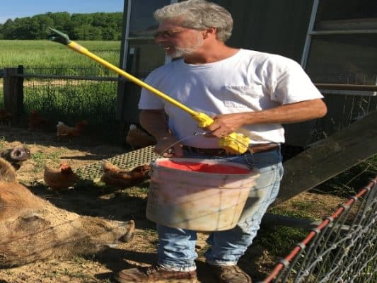 Best Cattle Prod of 2023 | Reviews and Guide - Gale's Westlake