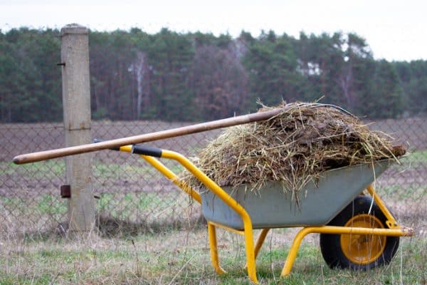 Best Wheelbarrow for Horse Manure (Reviews) 2023 - Gale's Westlake